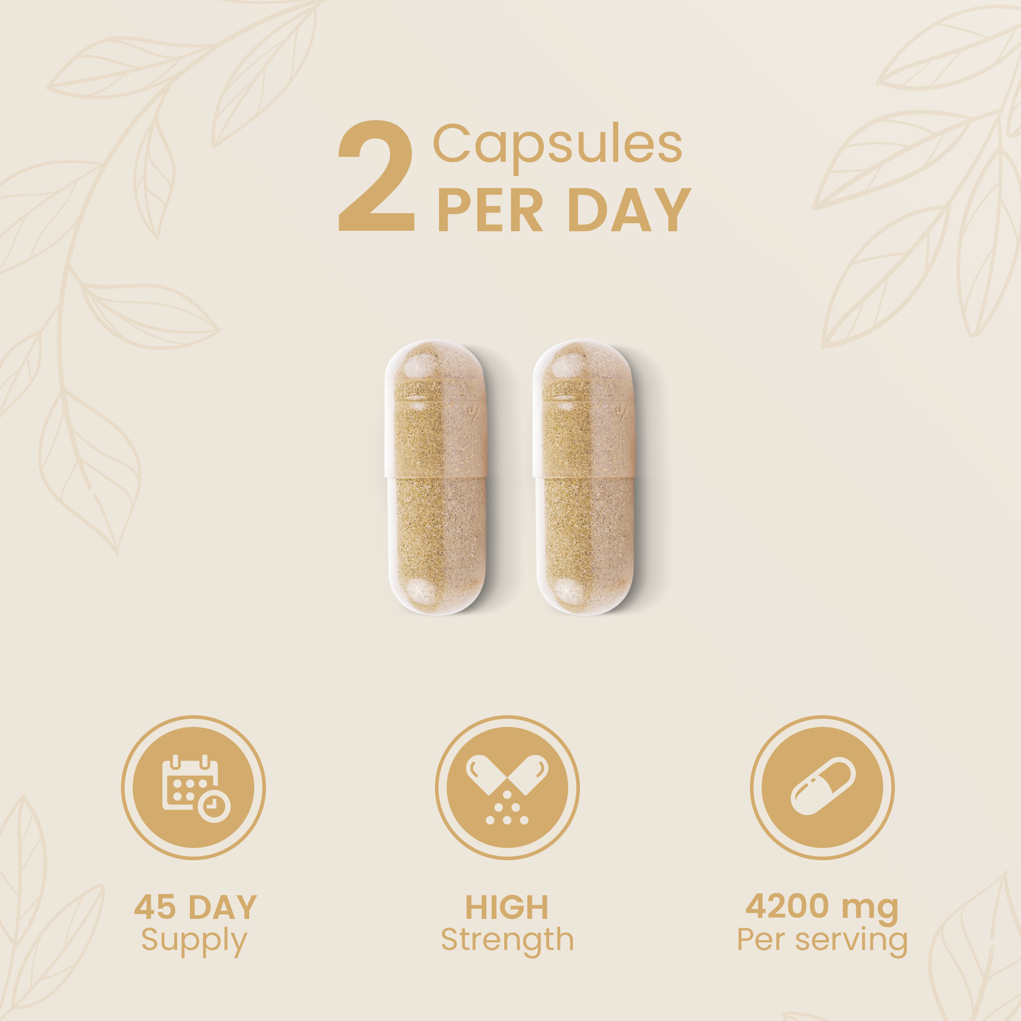 Advanced Psyllium Husk Fibre Supplement 4200mg with Inulin & Probiotics ...